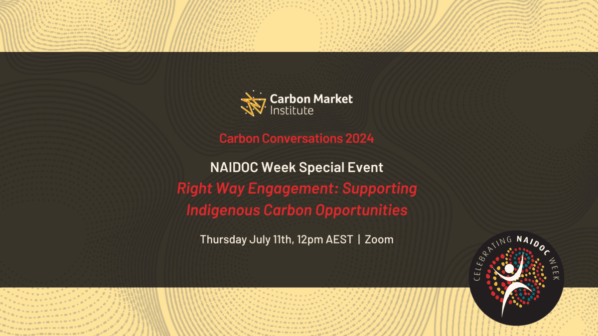 Home - Carbon Market Institute