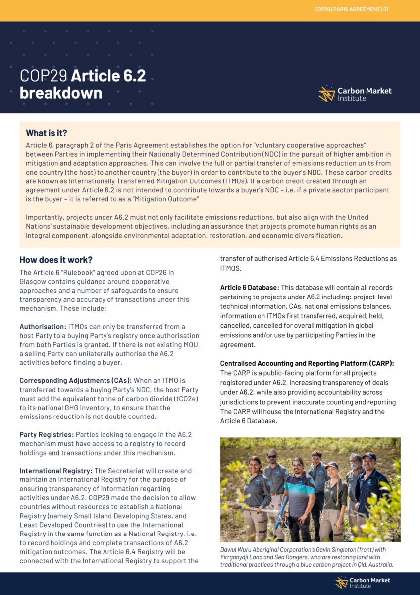 COP29 Hub - Carbon Market Institute